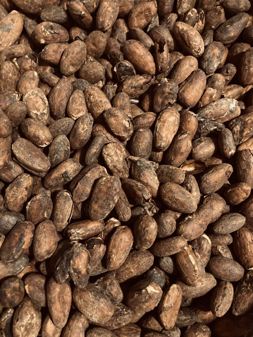 Chocolate Making Tour of Bend | Adventure Tours Bend